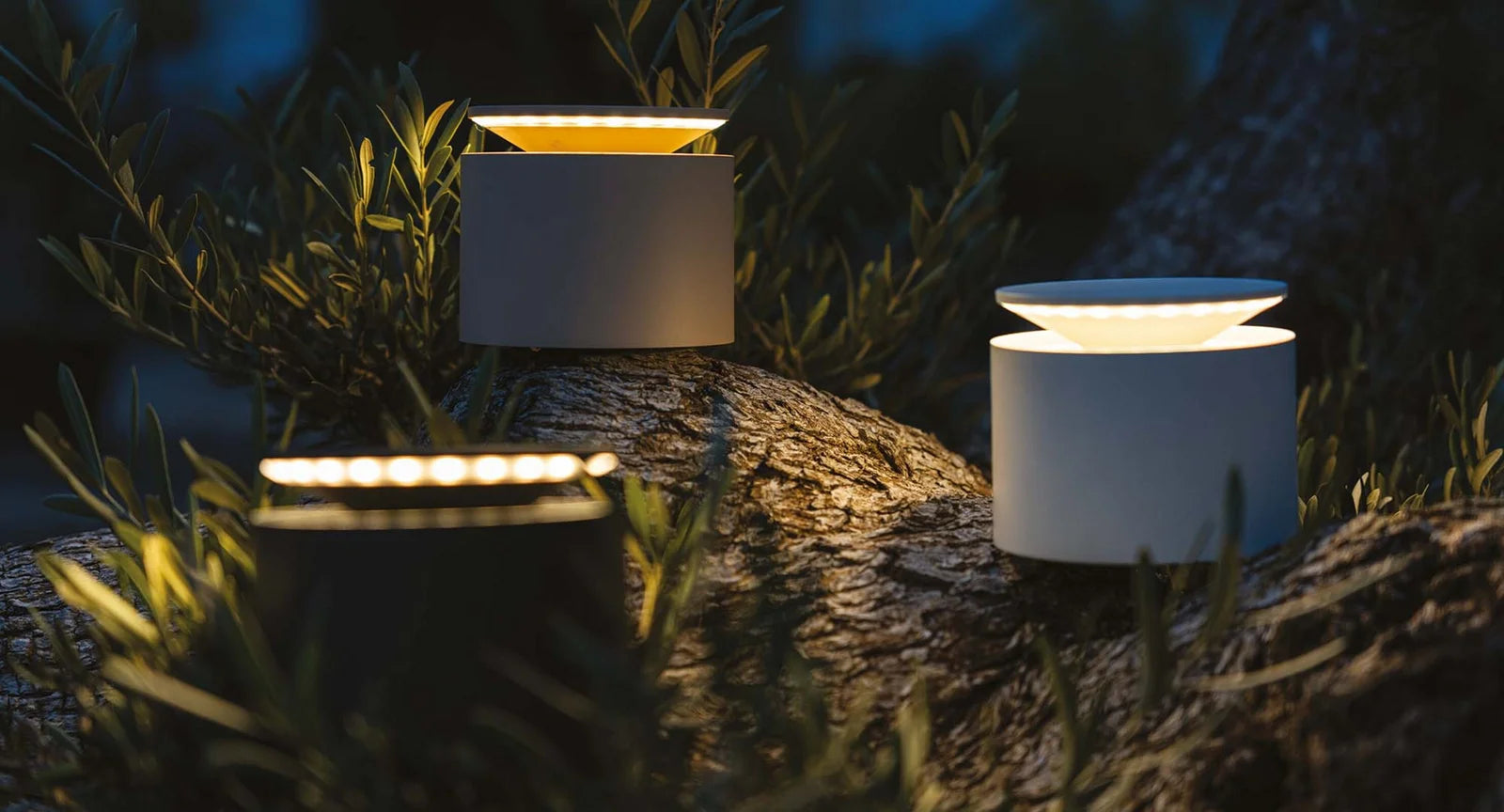 Brand: Zafferano – Eunice Taylor