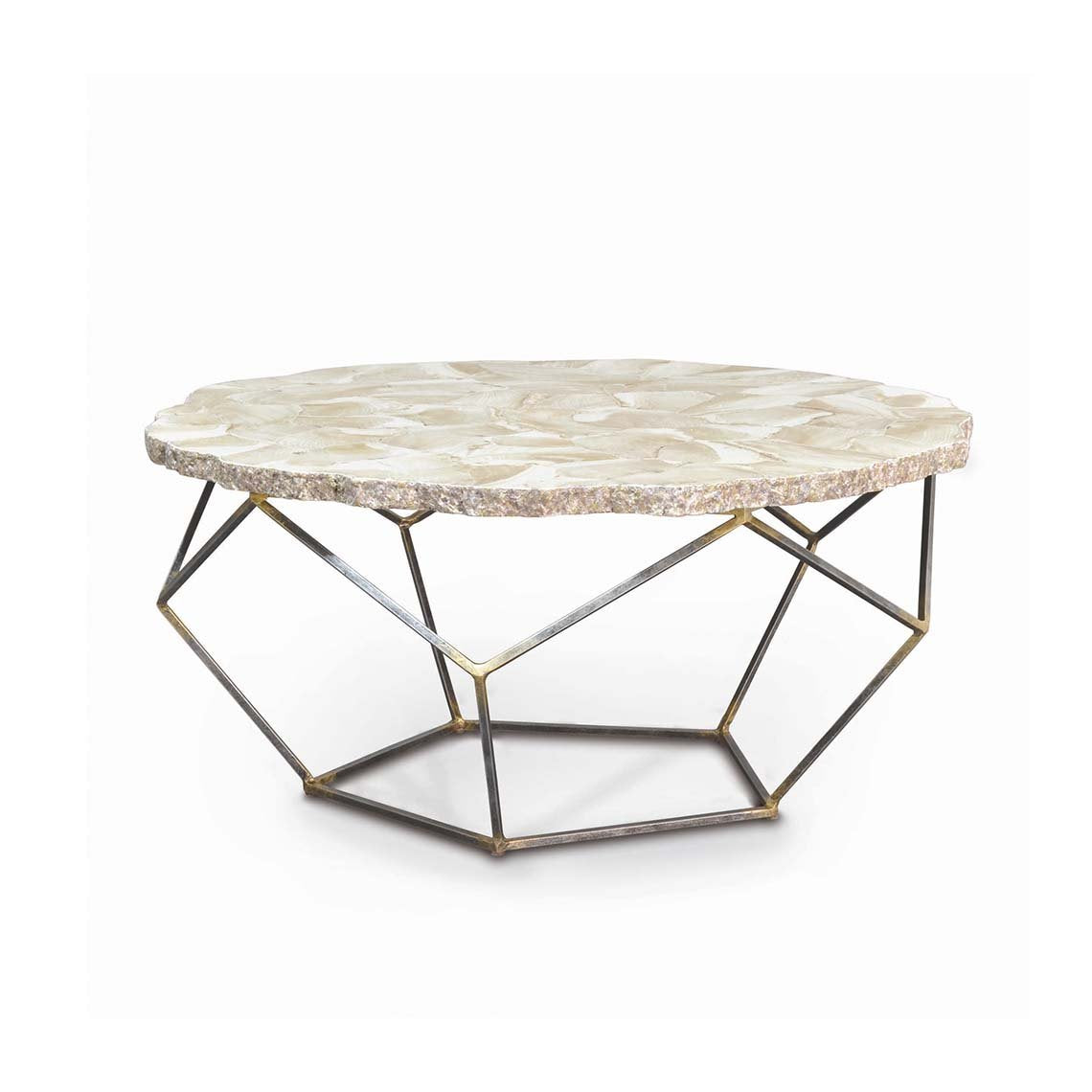 Loren Fossilized Clam Coffee Table – Eunice Taylor